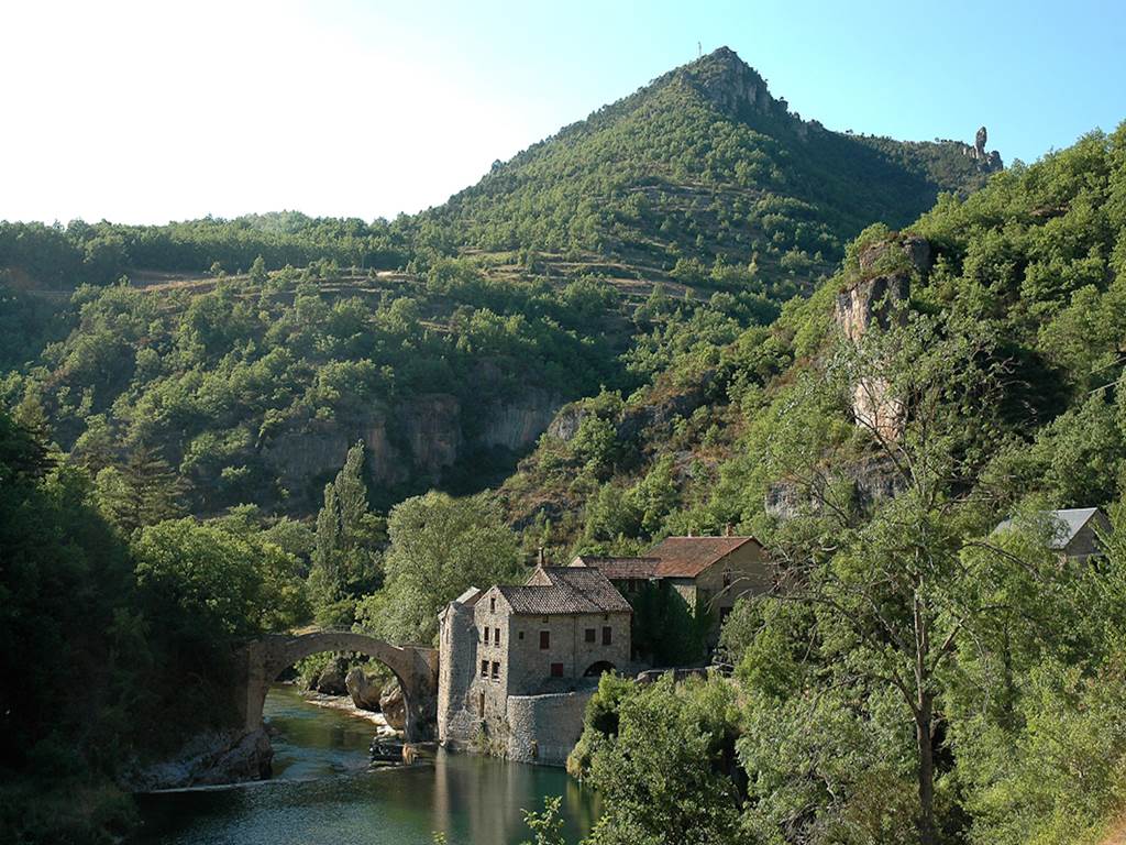 Gorges de la Dourbie